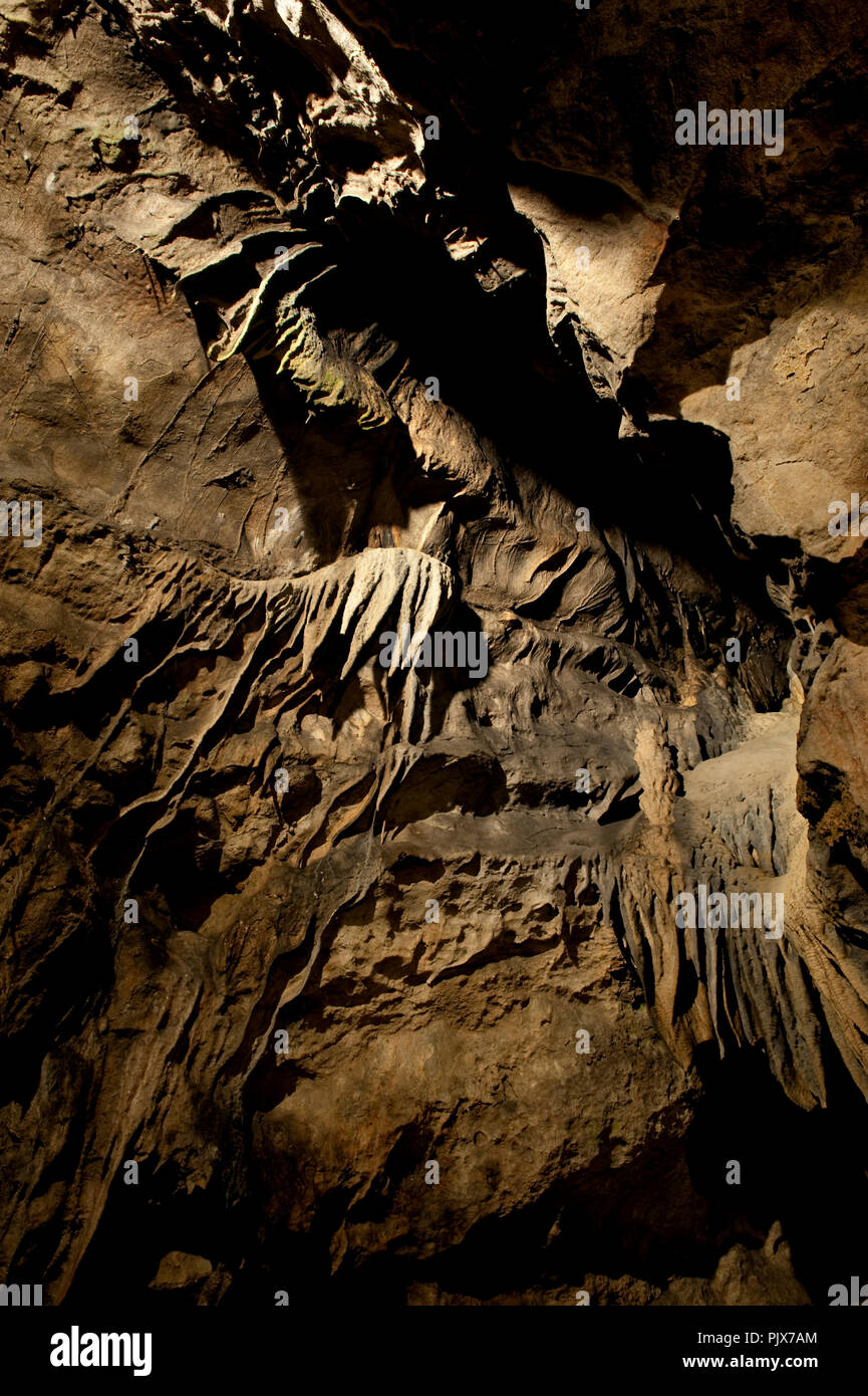 The Cave of Han in Han-sur-Lesse, a major Belgian tourist attraction ...