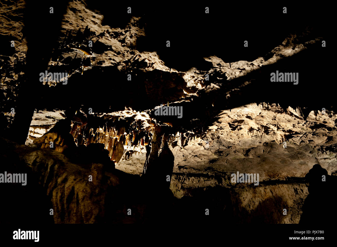 The Cave of Han in Han-sur-Lesse, a major Belgian tourist attraction ...