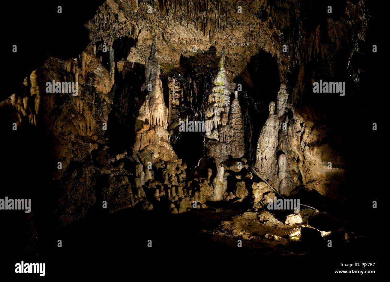 The Cave of Han in Han-sur-Lesse, a major Belgian tourist attraction ...