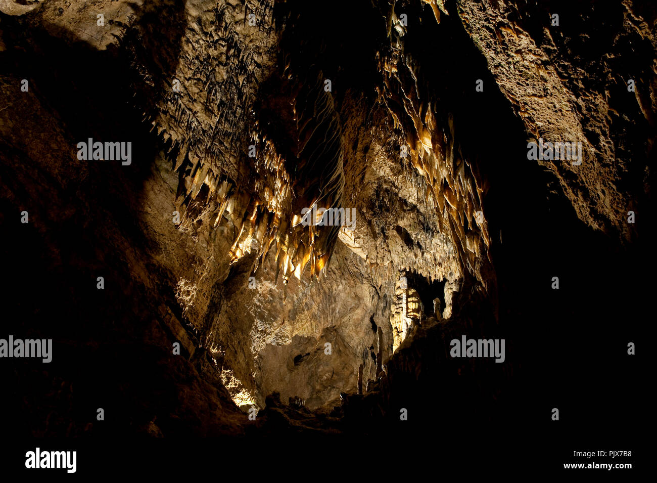 The Cave of Han in Han-sur-Lesse, a major Belgian tourist attraction ...