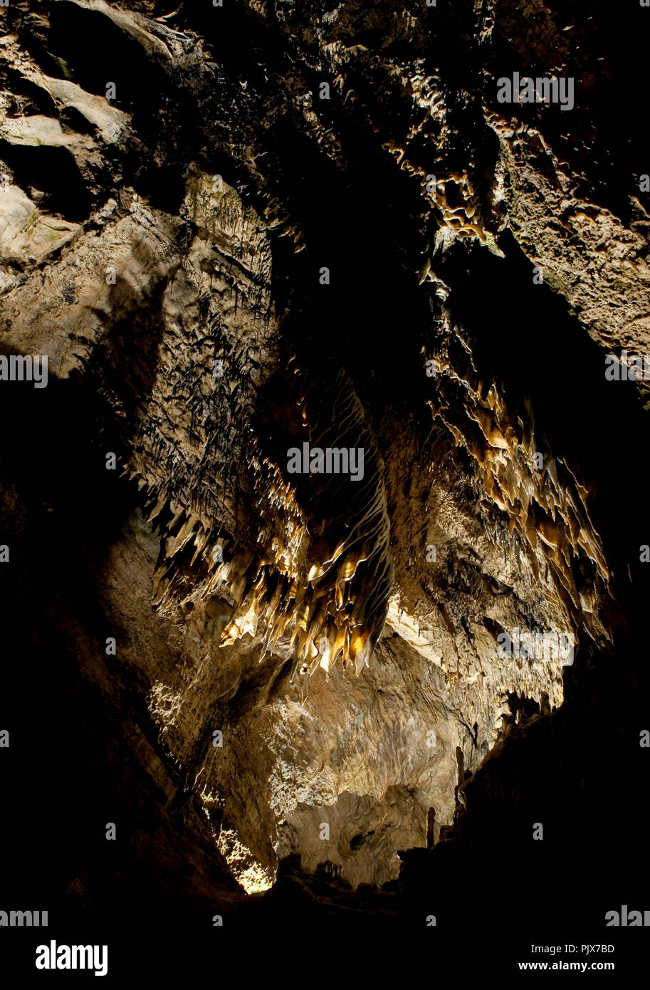 The Cave of Han in Han-sur-Lesse, a major Belgian tourist attraction ...