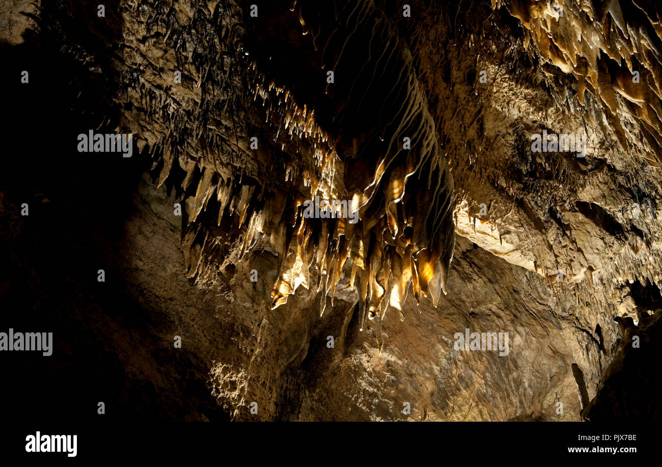 The Cave of Han in Han-sur-Lesse, a major Belgian tourist attraction ...