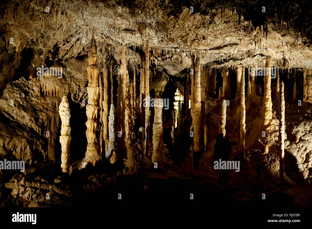 The Cave of Han in Han-sur-Lesse, a major Belgian tourist attraction ...
