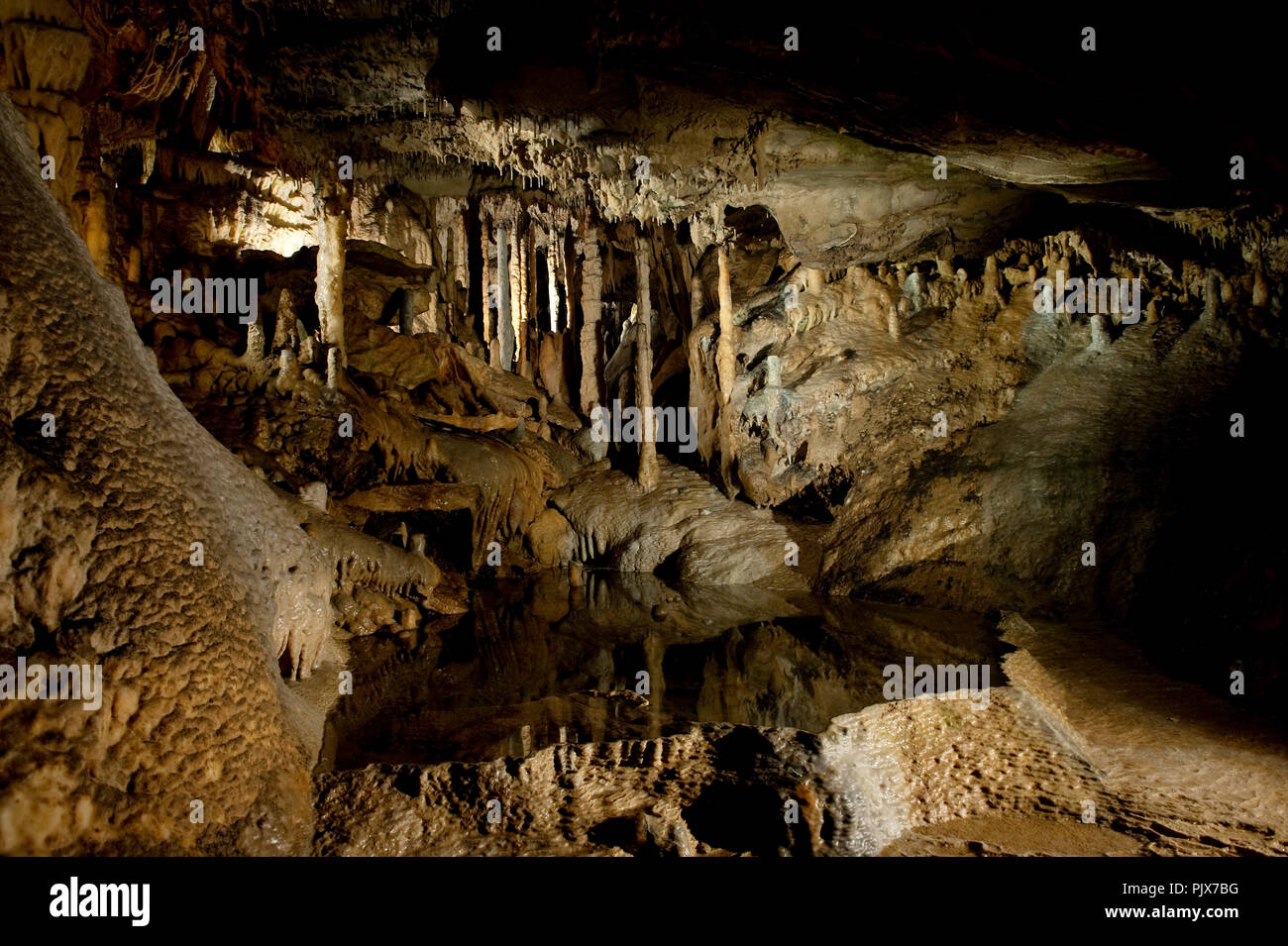 The Cave of Han in Han-sur-Lesse, a major Belgian tourist attraction ...