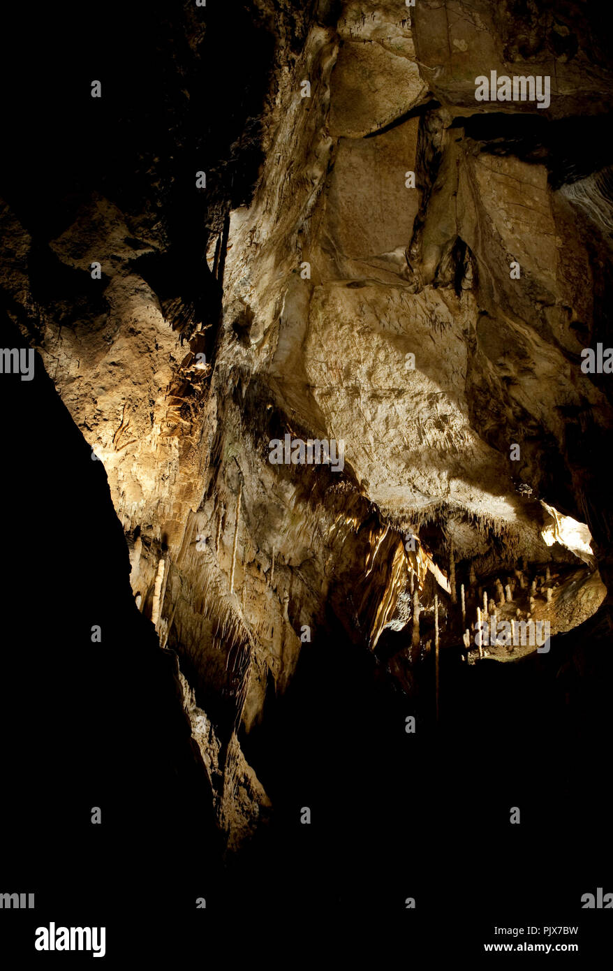 The Cave of Han in Han-sur-Lesse, a major Belgian tourist attraction ...