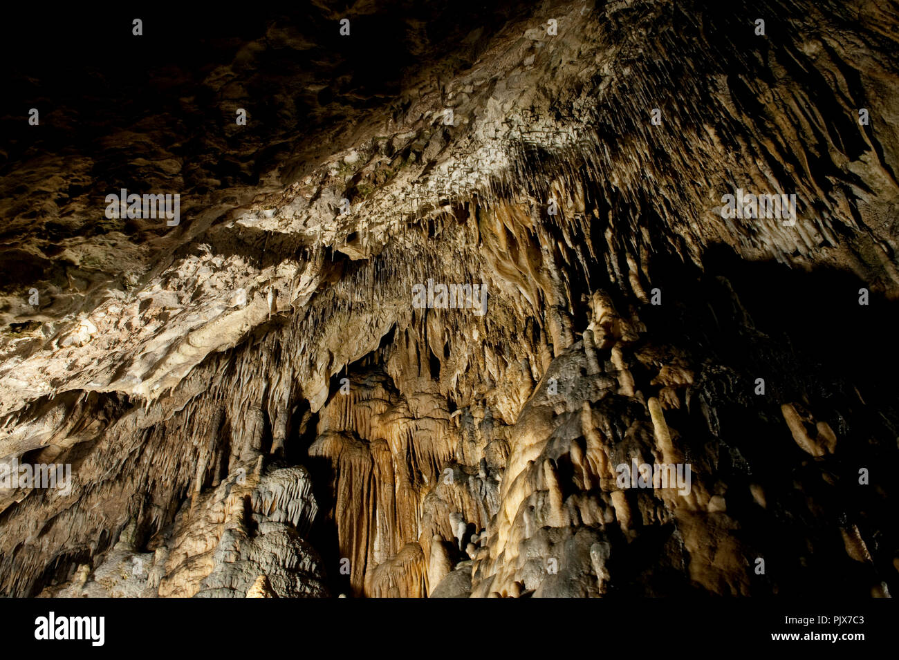 The Cave of Han in Han-sur-Lesse, a major Belgian tourist attraction ...
