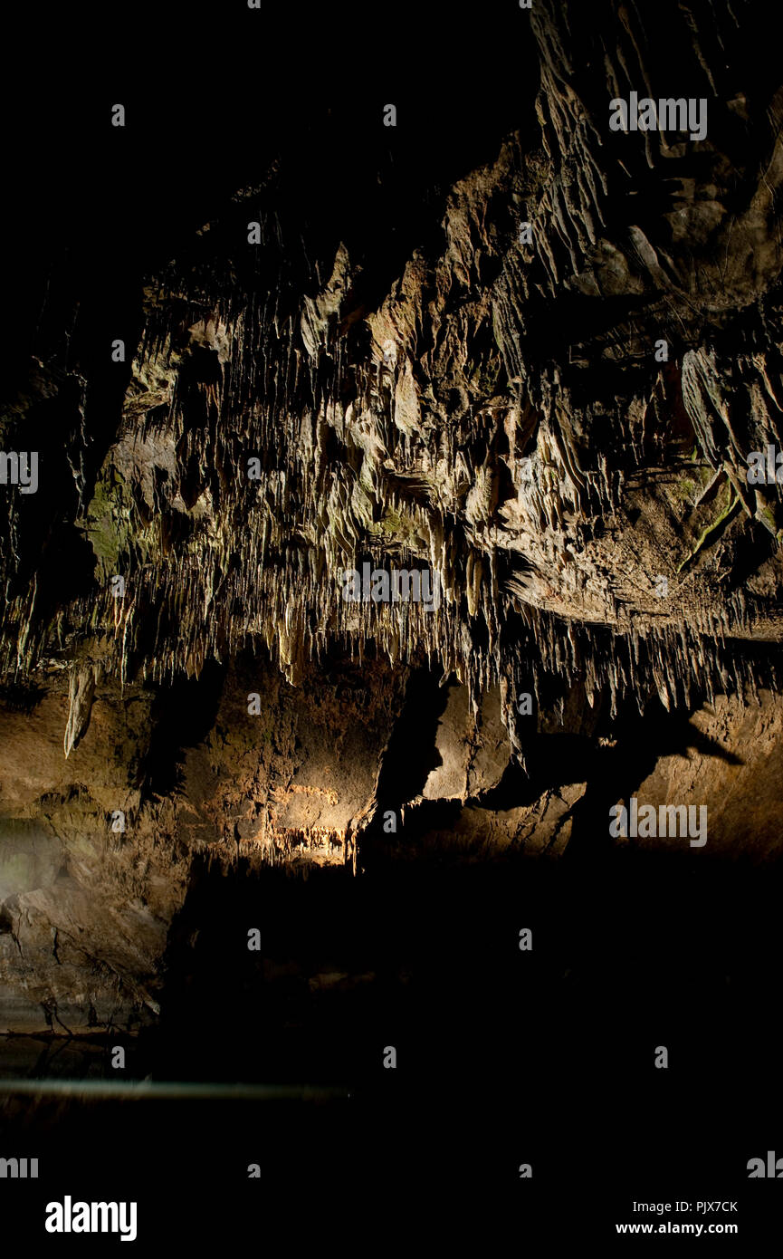 The Cave of Han in Han-sur-Lesse, a major Belgian tourist attraction ...