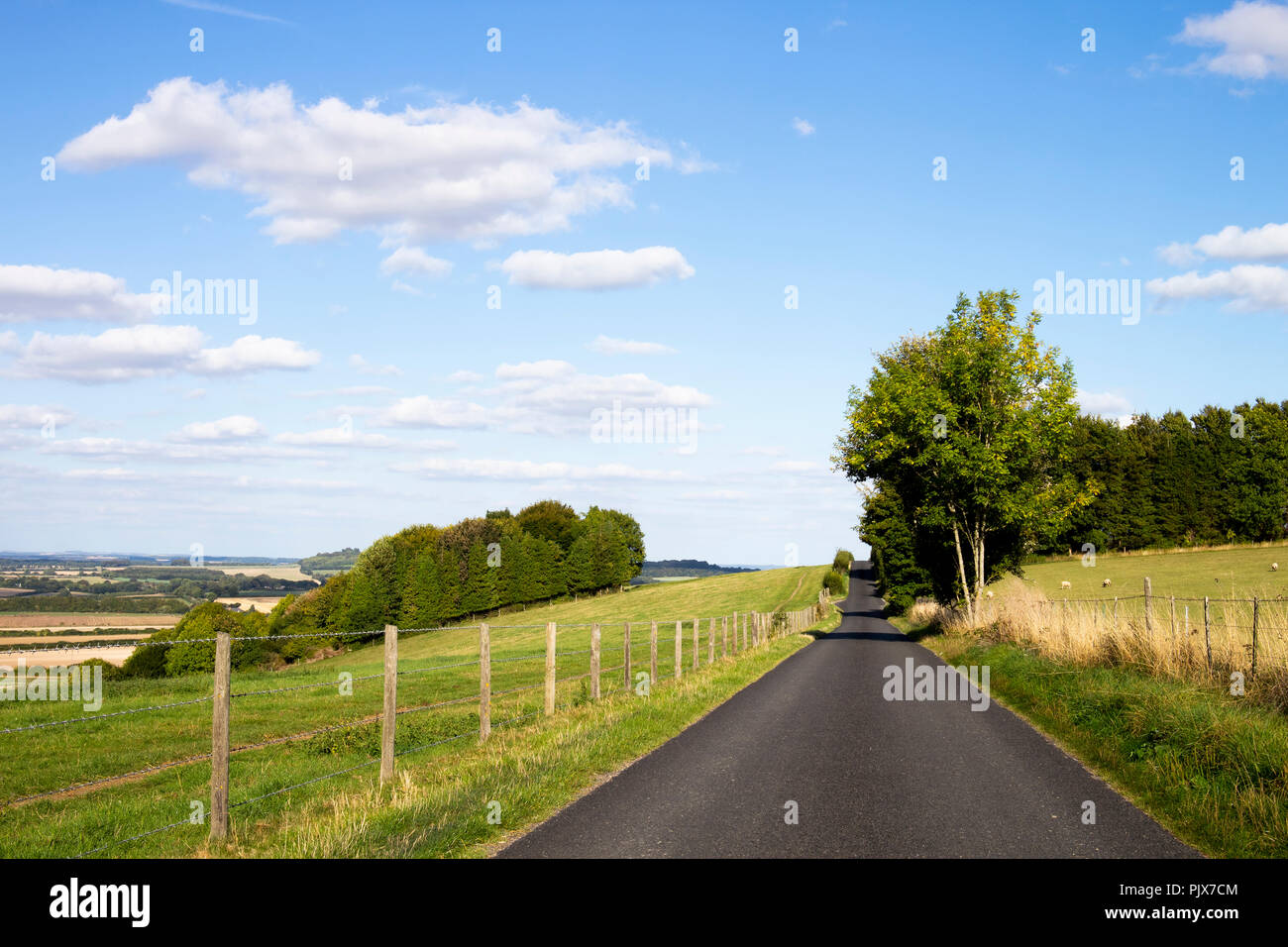 Country lane through vegetation hi-res stock photography and images - Alamy