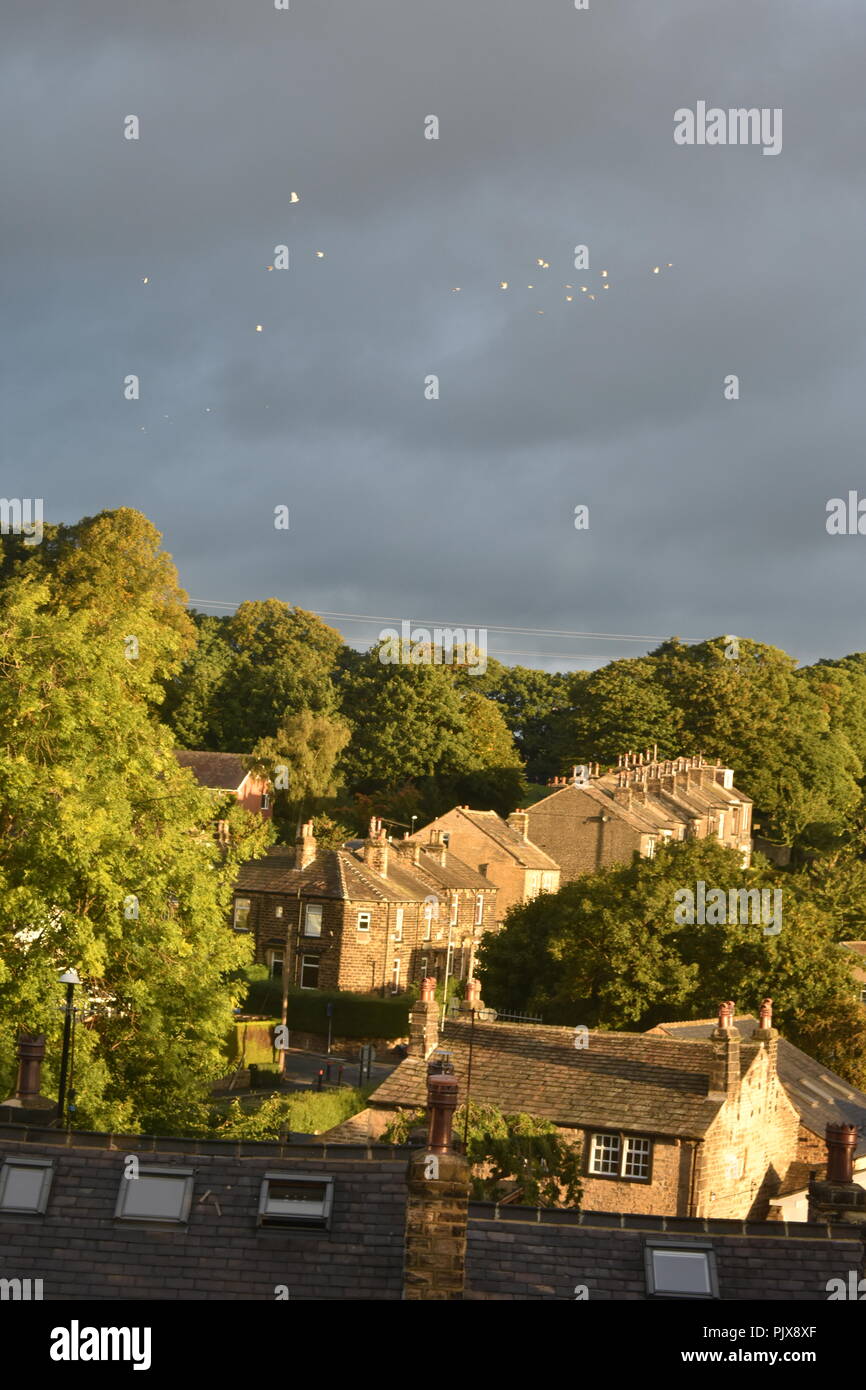 Sunday morning rooftops Stock Photo - Alamy