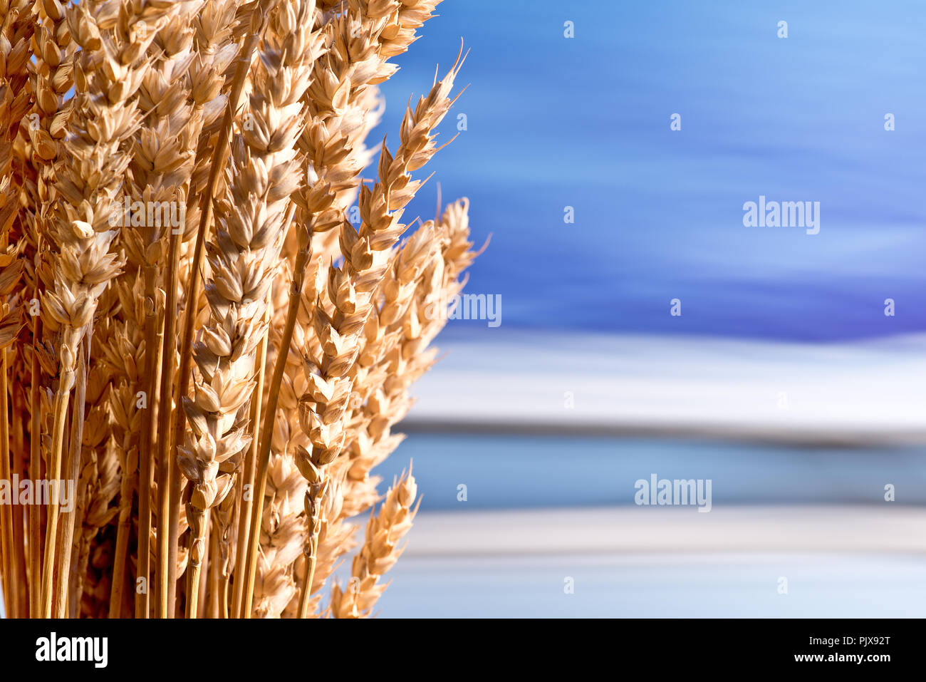 Sheaf of wheat on the blue sky Stock Photo - Alamy