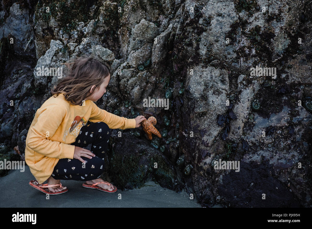 Child picking up rock hi-res stock photography and images - Alamy