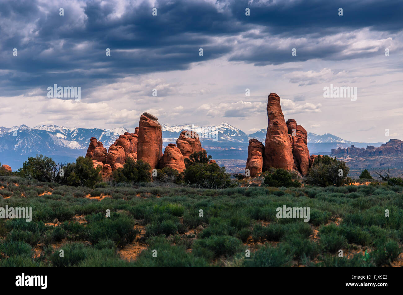 Indian National Sport High Resolution Stock Photography and Images - Alamy