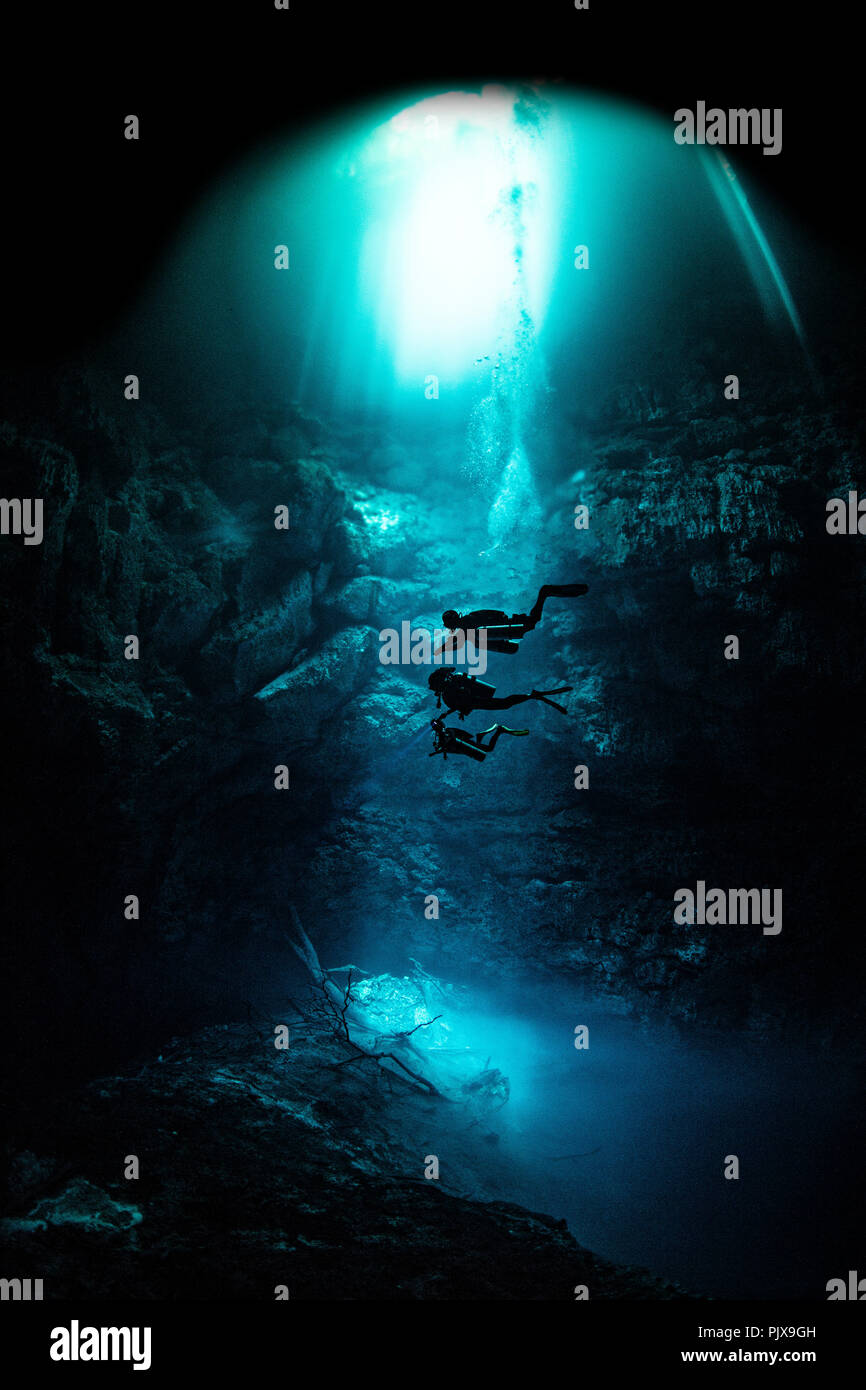Freediver cavern diving in the pit cavern, Tulum, Quintana Roo, Mexico ...