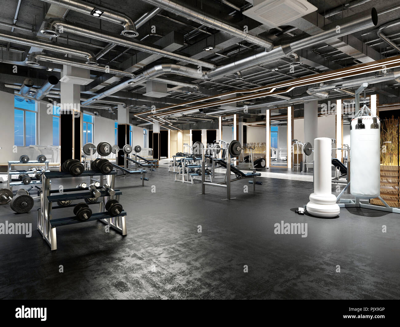 3d render gym fitness saloon Stock Photo - Alamy