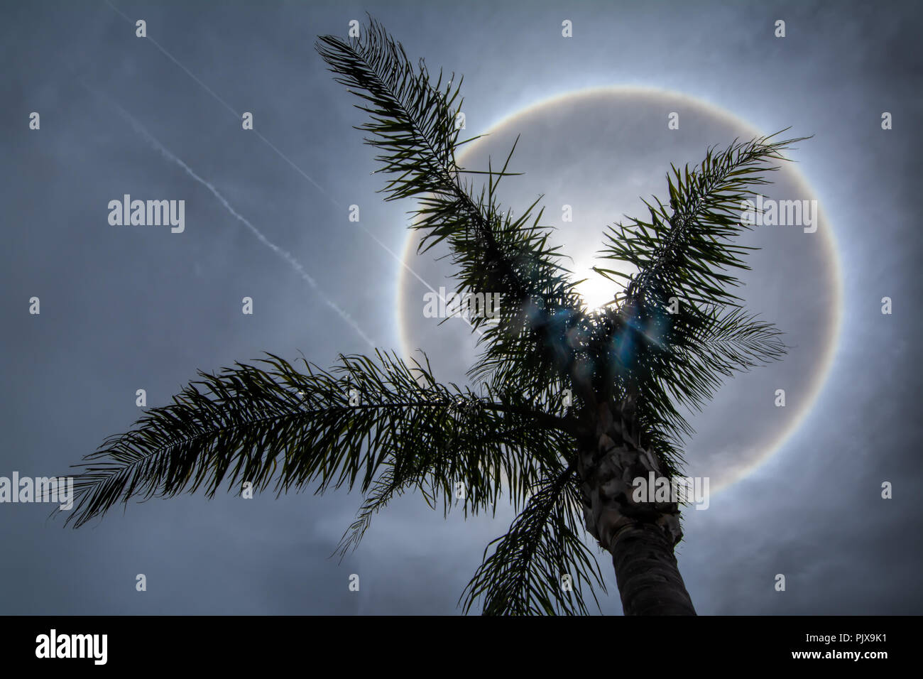 Sun behind the tree hi-res stock photography and images - Alamy