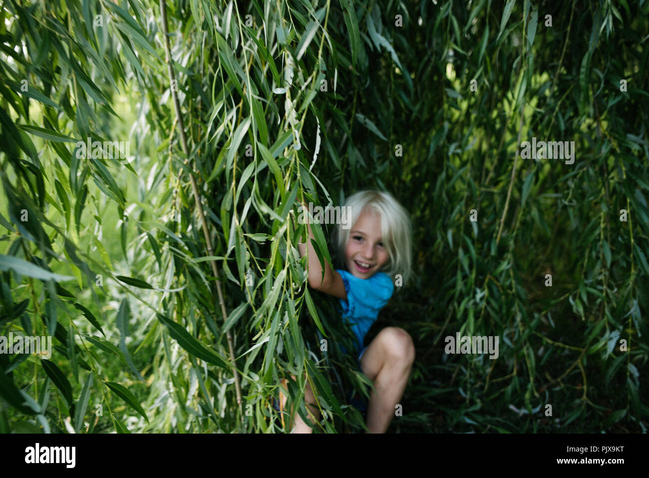 Boy playing under willow tree Stock Photo - Alamy