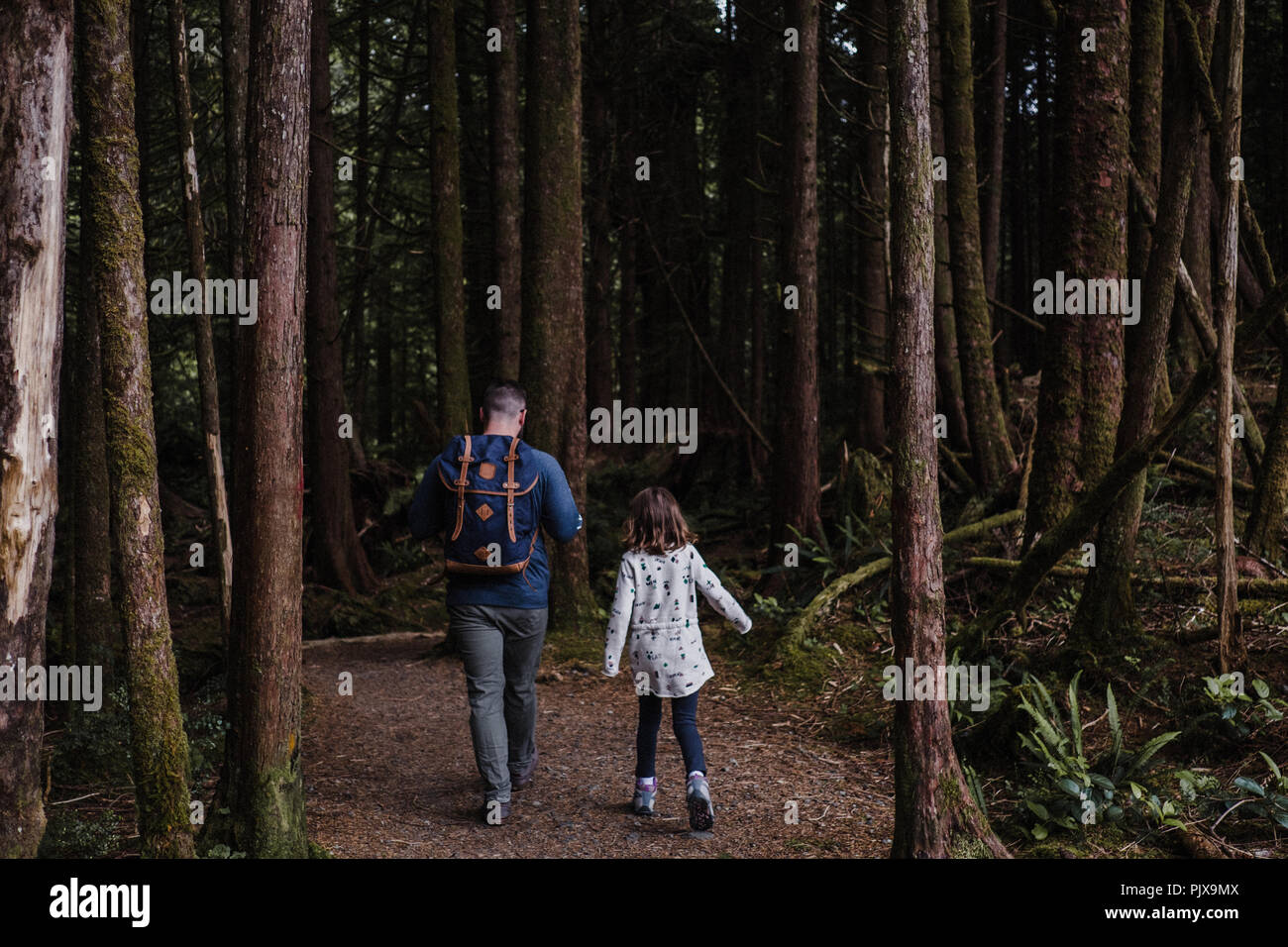 Father and daughter hiking in forest, Tofino, Canada Stock Photo - Alamy