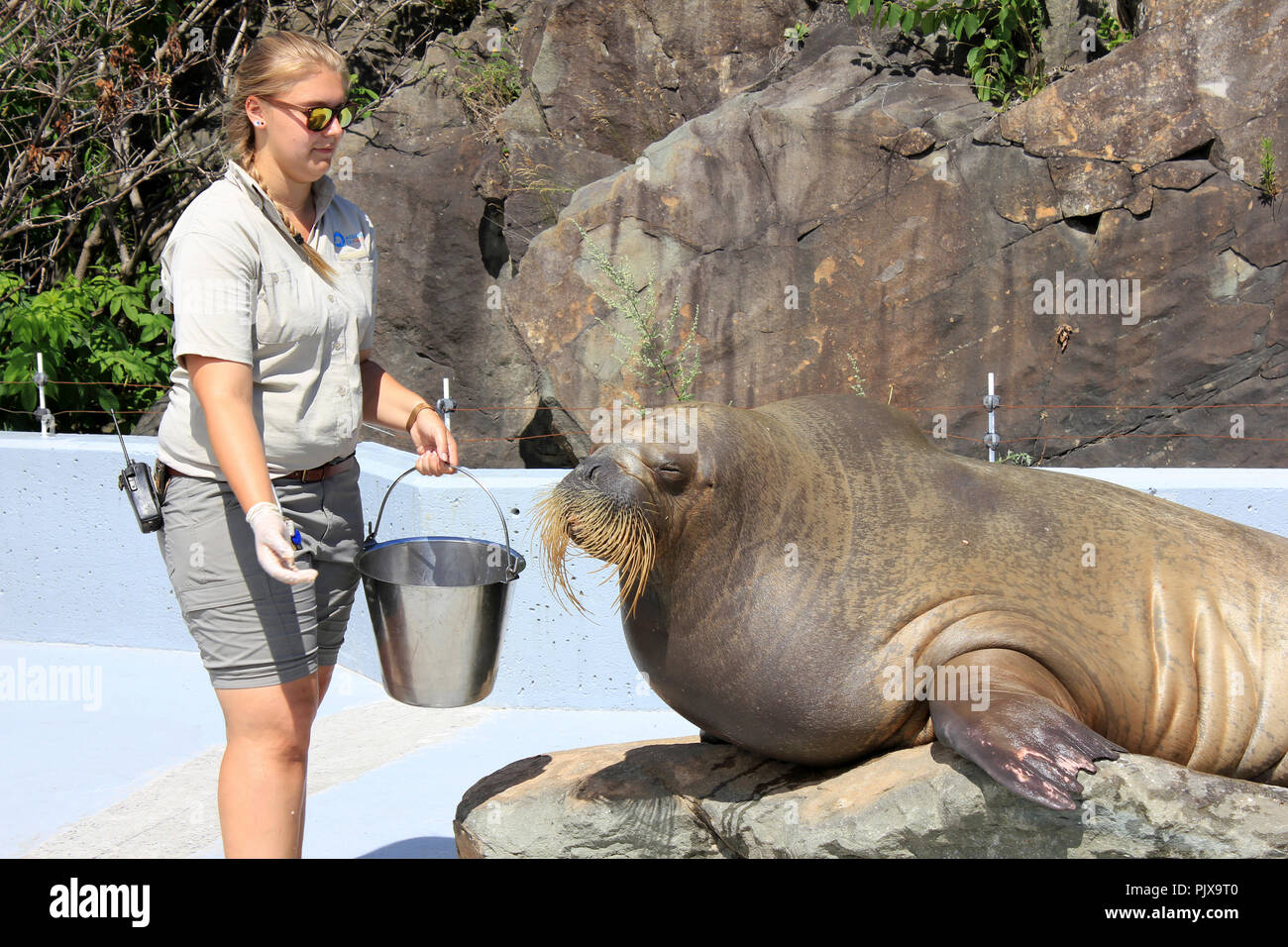 Female zoo keeper hi-res stock photography and images - Alamy