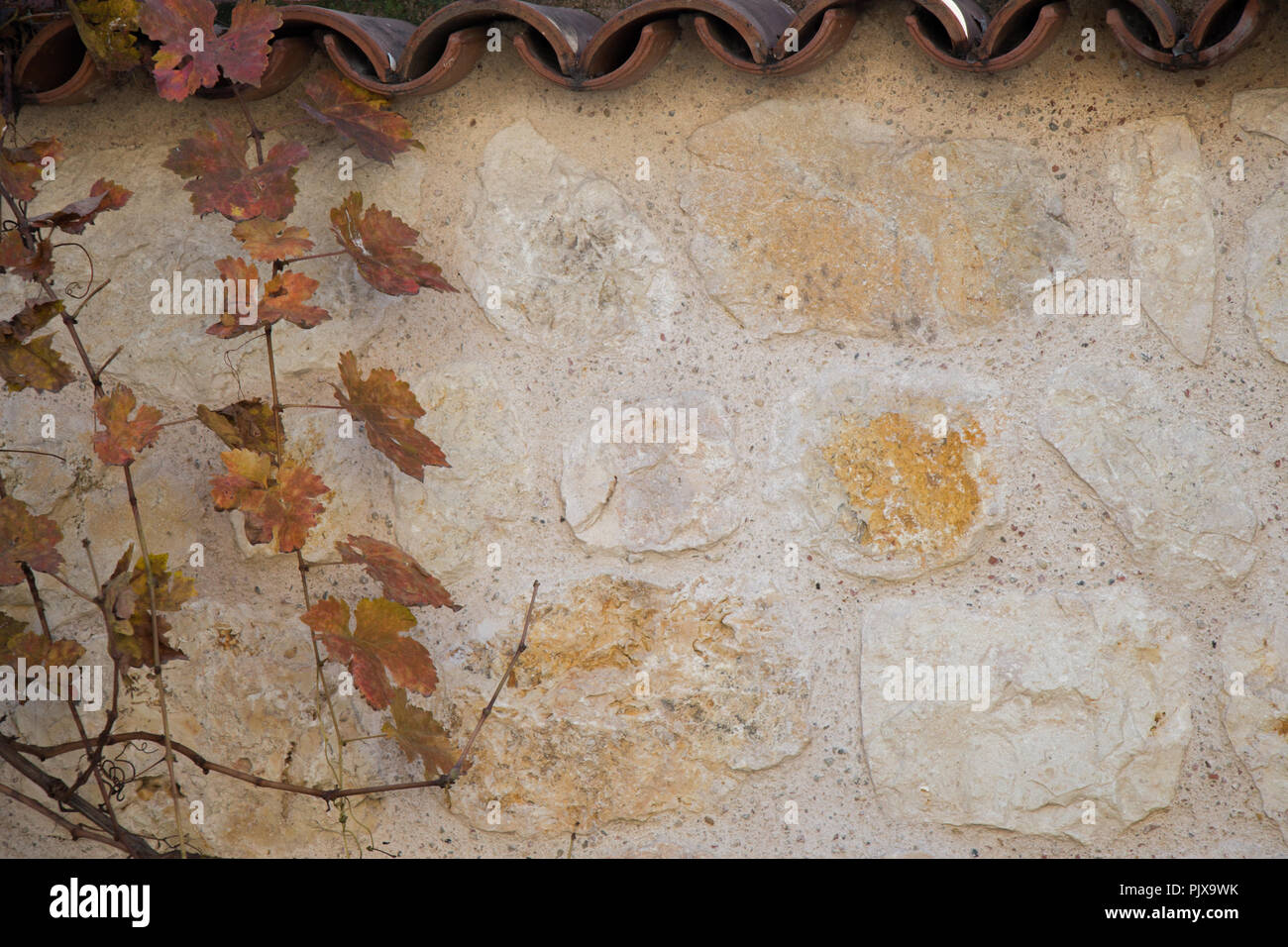 Dry leaves as an Autumn nature background Stock Photo - Alamy