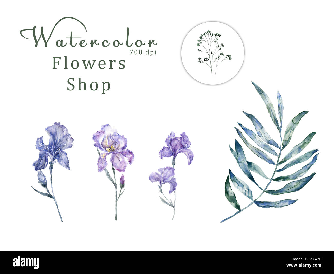 Watercolor floral on white background 700 dpi Similar illustration leaf ...