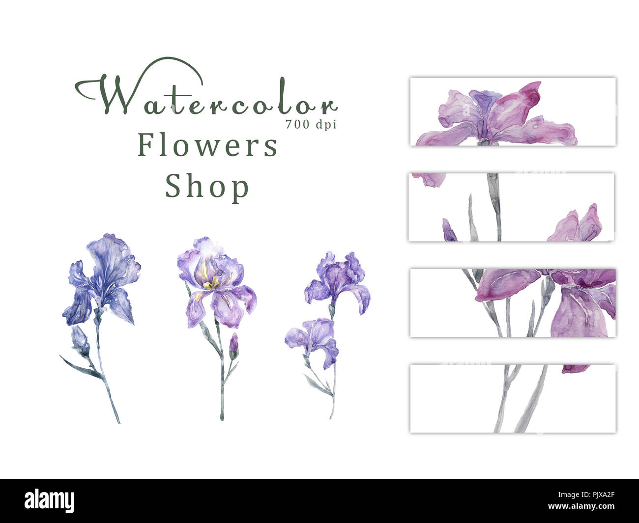 Watercolor floral on white background 700 dpi Similar illustration leaf ...