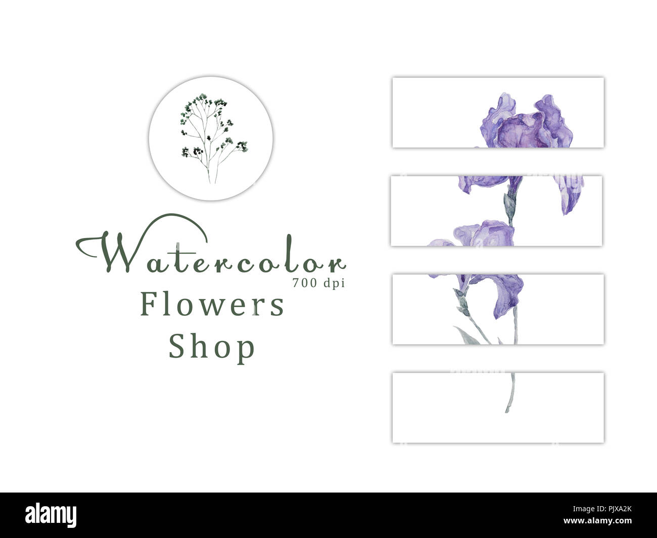 Watercolor floral on white background 700 dpi Similar illustration leaf ...