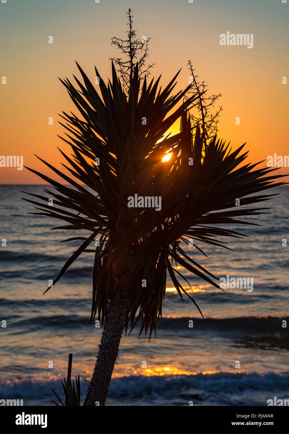 The Sun Rise Stock Photo - Alamy