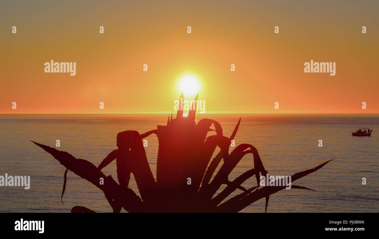 The Sun Rise Stock Photo - Alamy