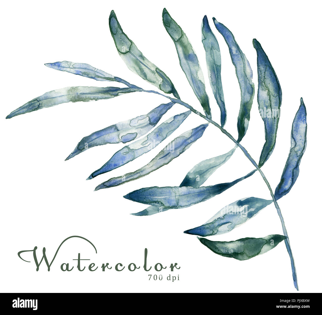 Watercolor floral on white background 700 dpi Similar illustration leaf ...