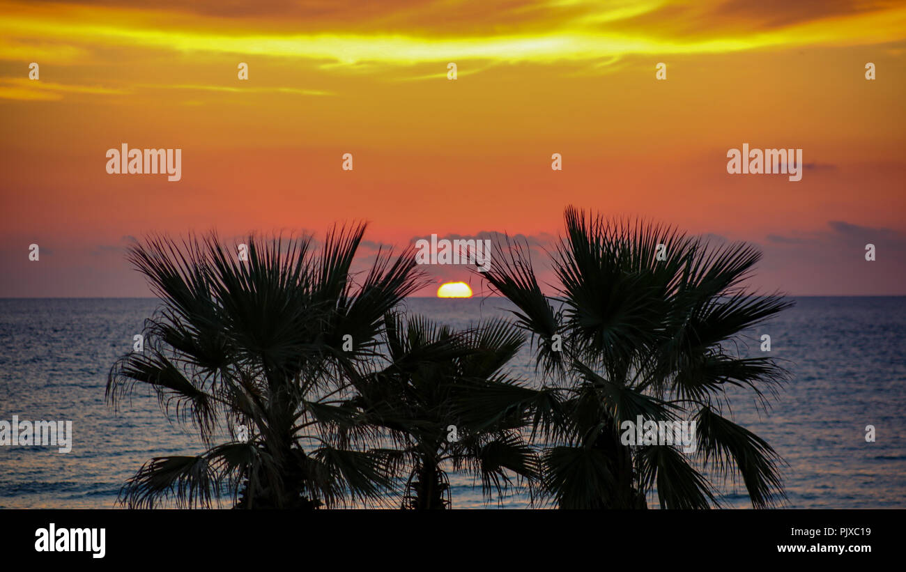 Rising Tropical Sun Stock Photo - Alamy