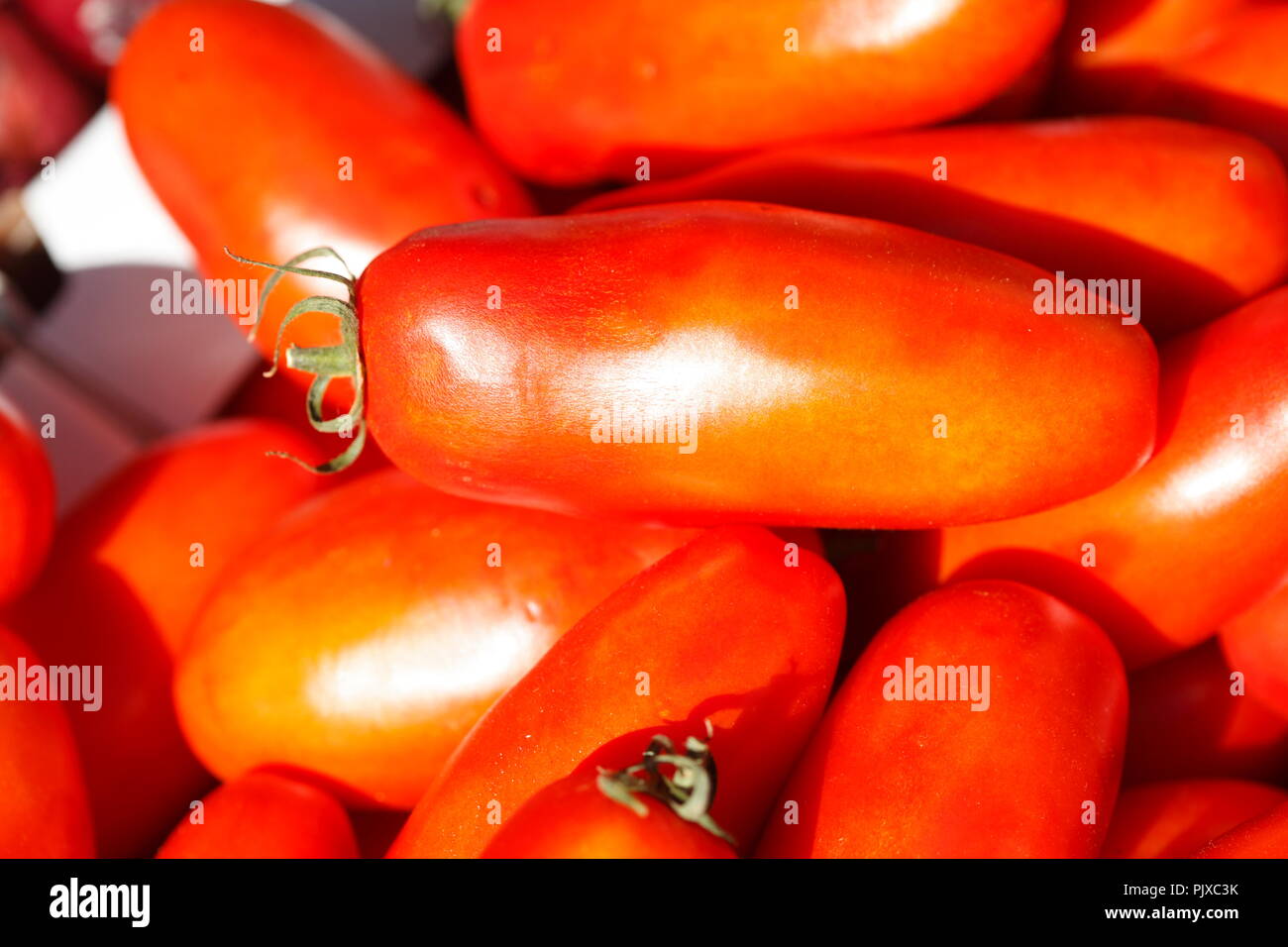 fresh red pointed paprika on a market stall, germany, europe Stock ...