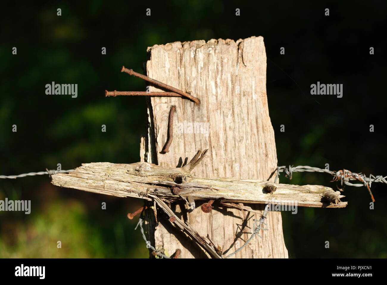 Rusty fence pole hi-res stock photography and images - Alamy