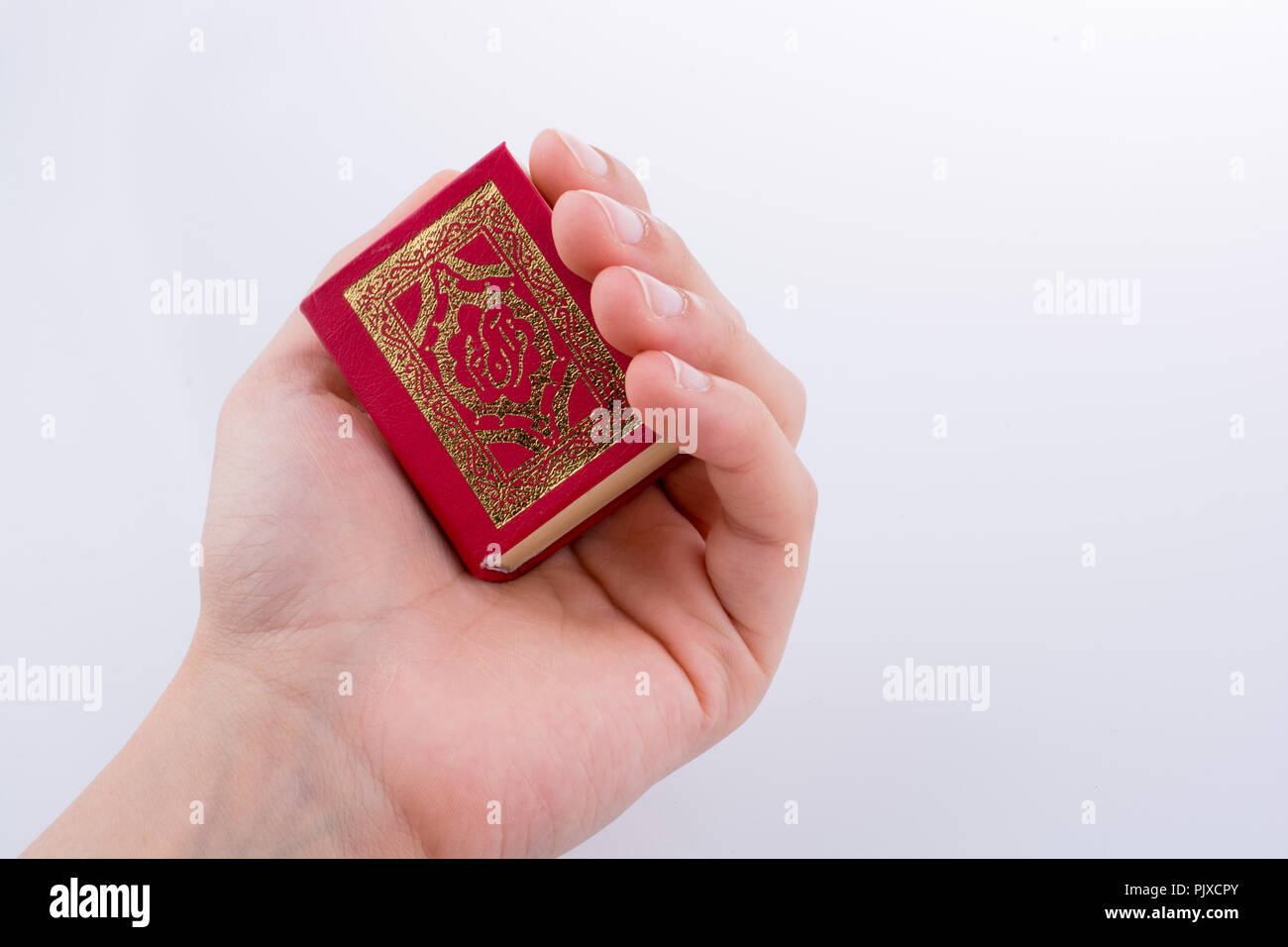 Hand holding The Holy Quran on a white background Stock Photo - Alamy