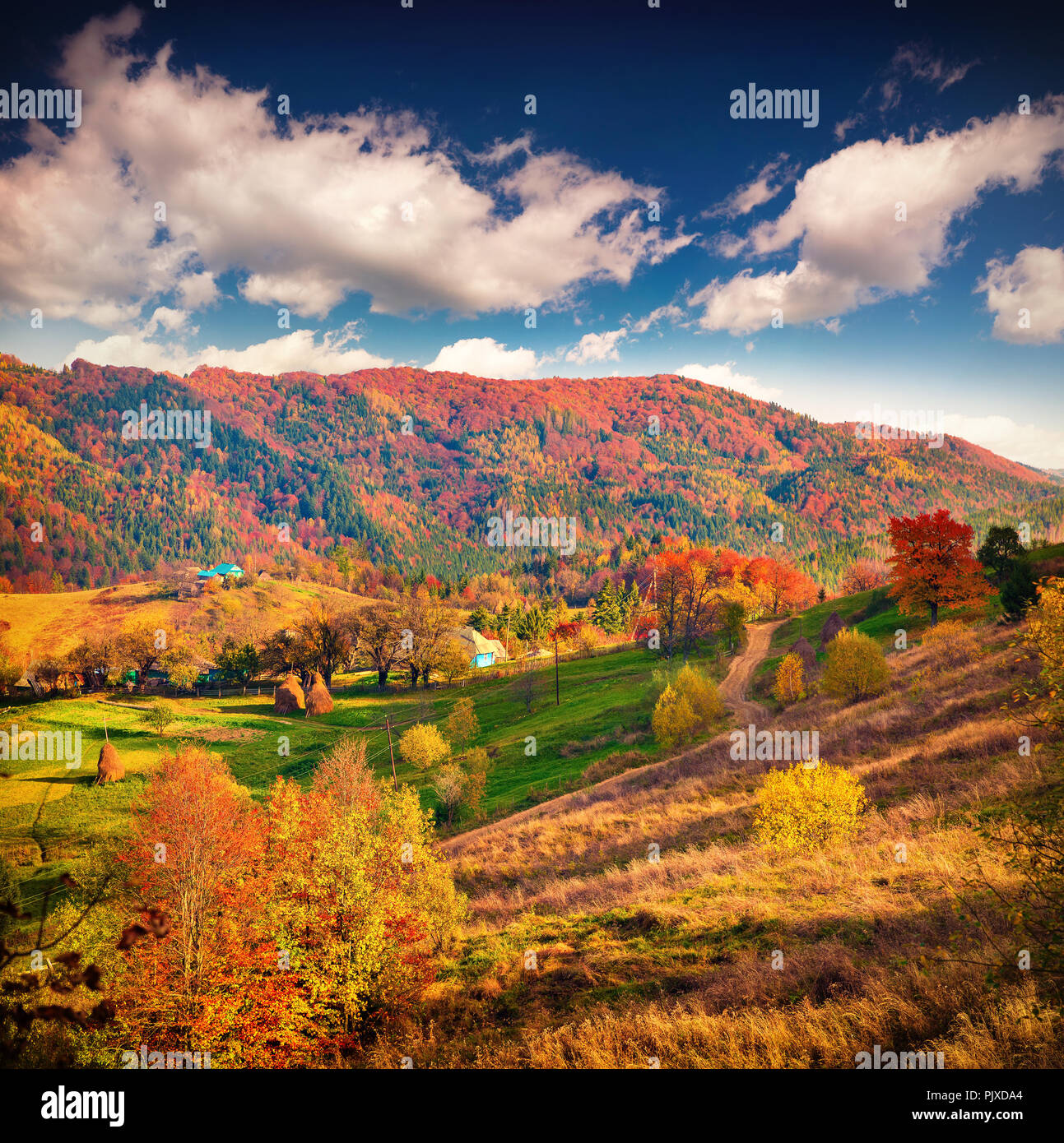 Beautiful view autumn garden colorful hi-res stock photography and ...