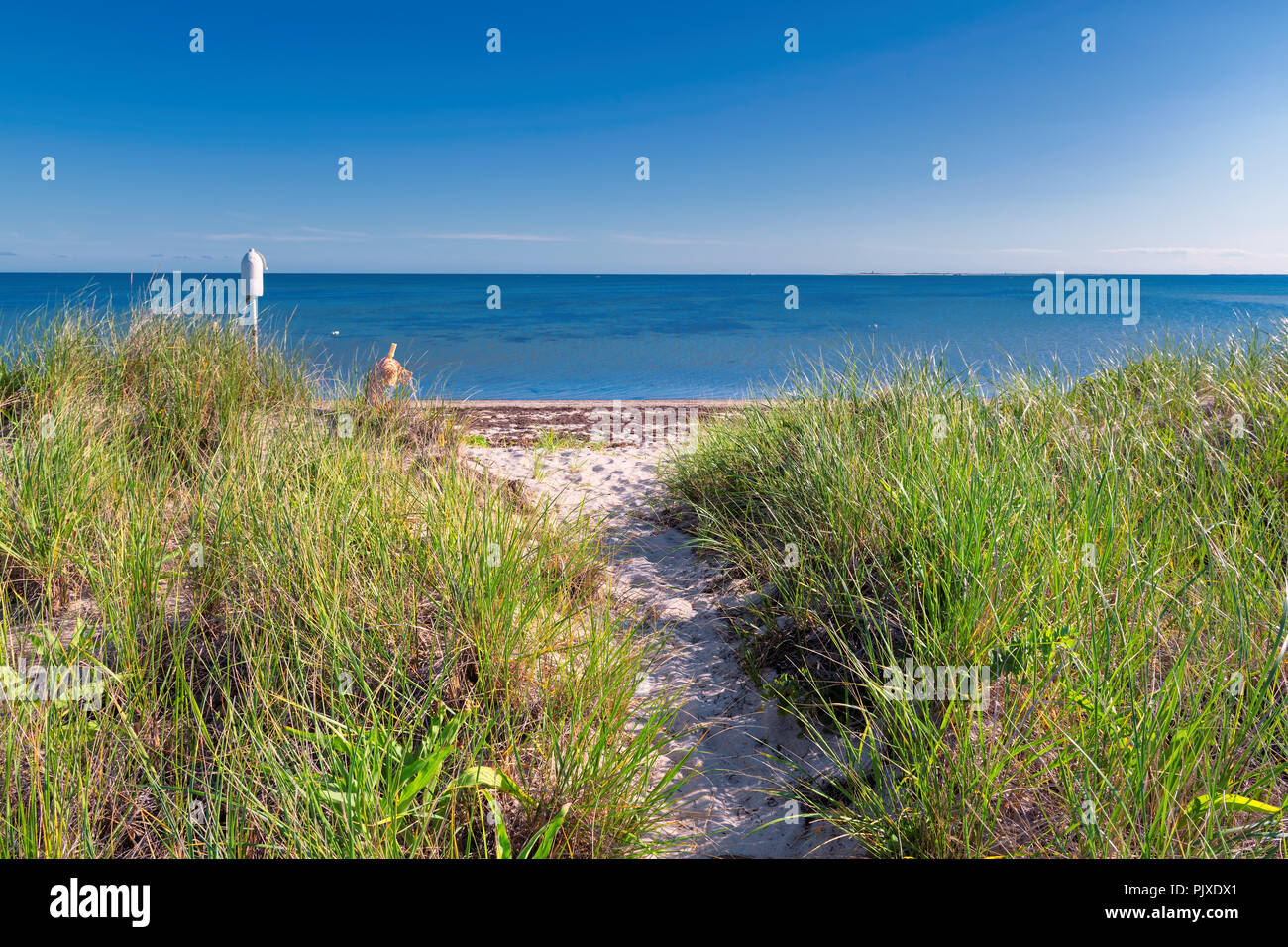 Beach house beach grass sand hi-res stock photography and images - Alamy