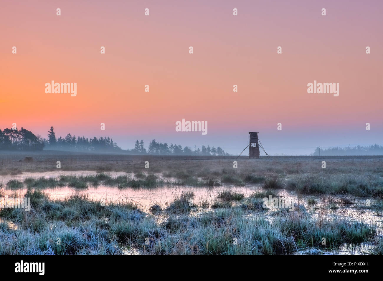Hunter lookout tower on the edge of the forest in the winter morning ...