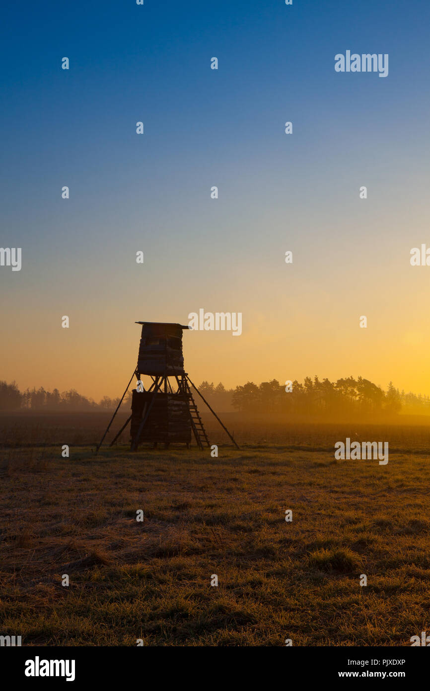 Hunter lookout tower on the edge of the forest in the morning mist ...