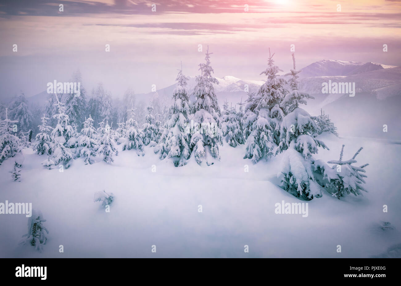 Foggy sunrise in a winter mountains Stock Photo - Alamy
