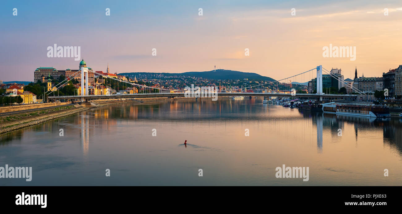 View on Elizabeth bridge and Budavari palace on Danube in Budapest at ...