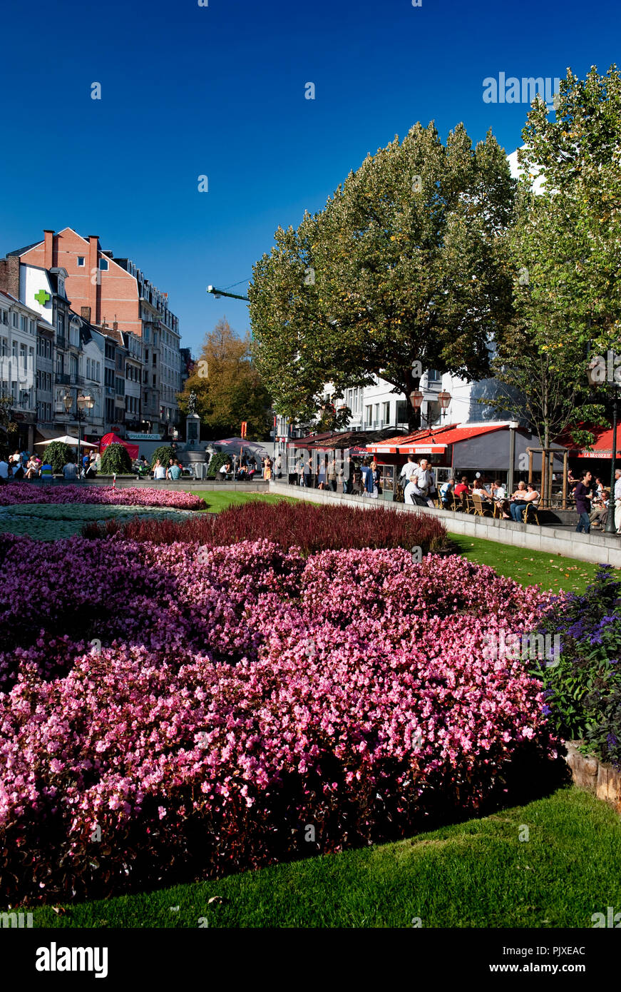 The Place de la Cathédrale square in Liège (Belgium, 30/09/2011 Stock ...