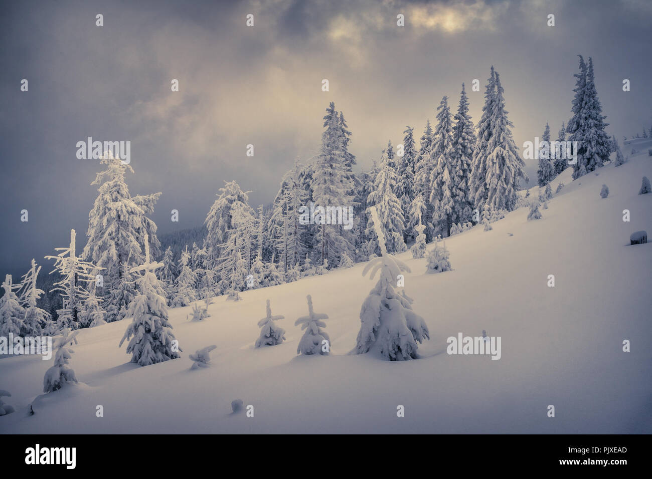 Retro style snow background hi-res stock photography and images - Alamy