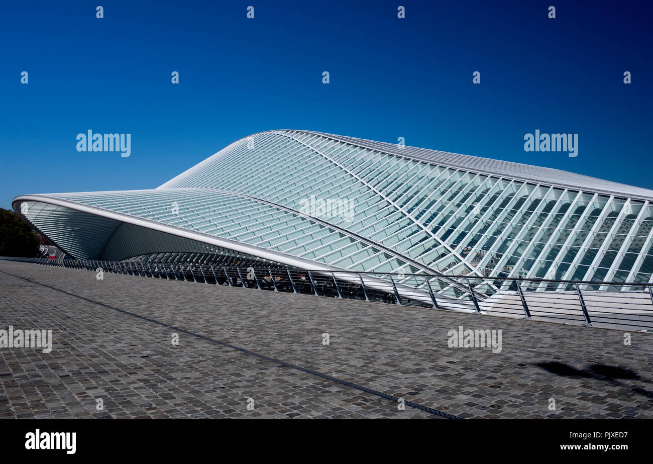 The Liège-Guillemins railway station in Liège, designed by Santiago ...