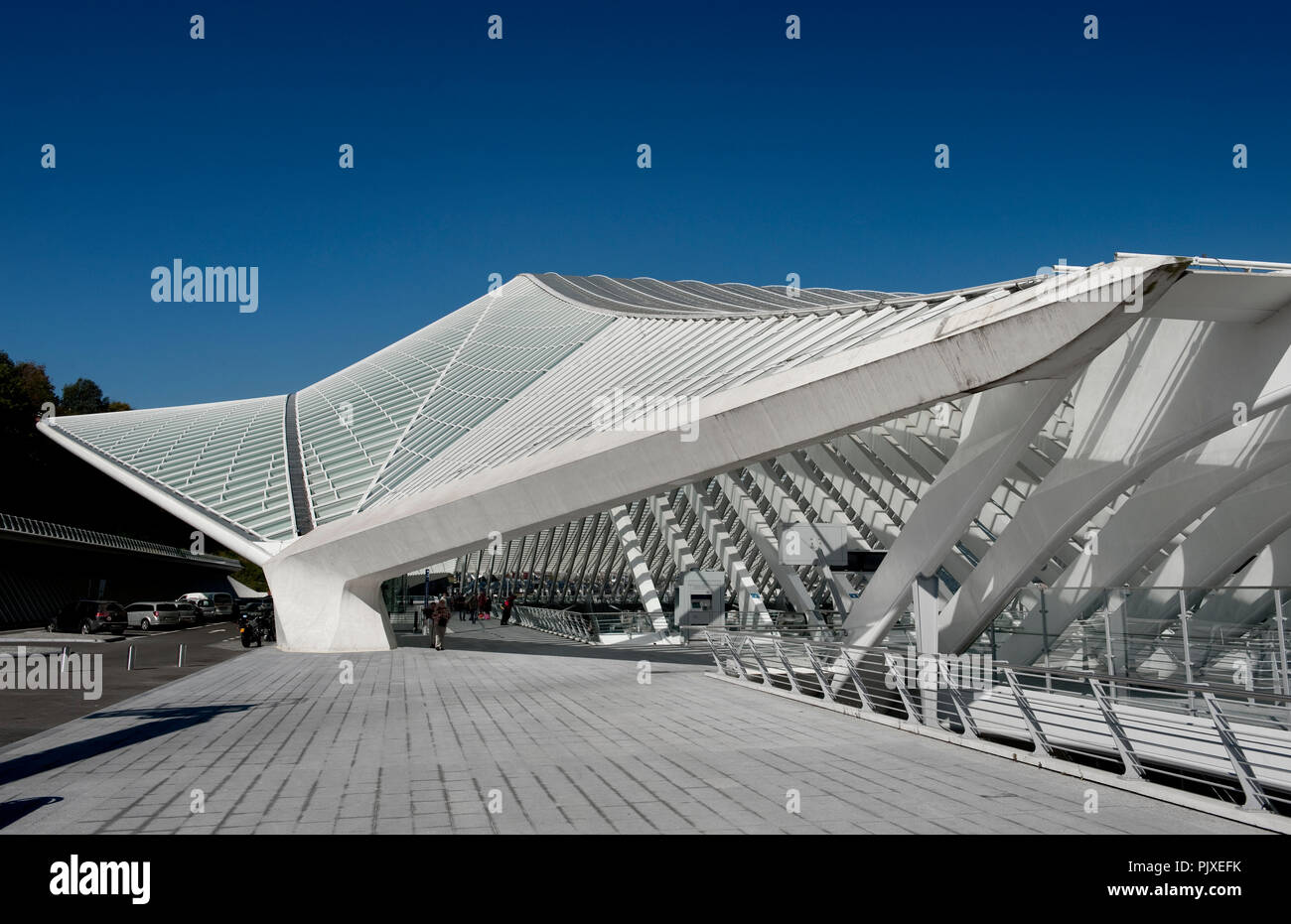 The Liège-Guillemins railway station in Liège, designed by Santiago ...