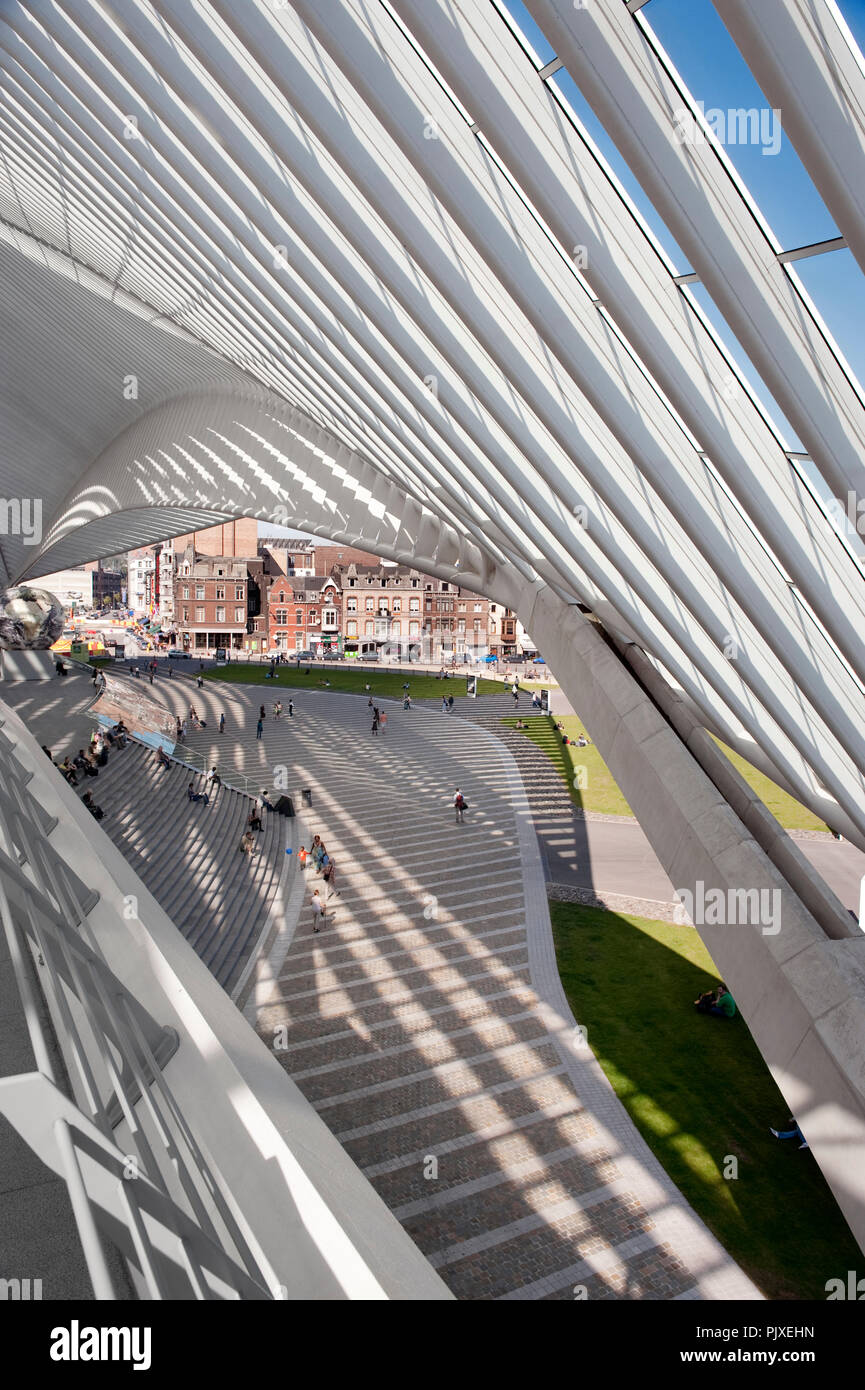 The Liège-Guillemins railway station in Liège, designed by Santiago ...