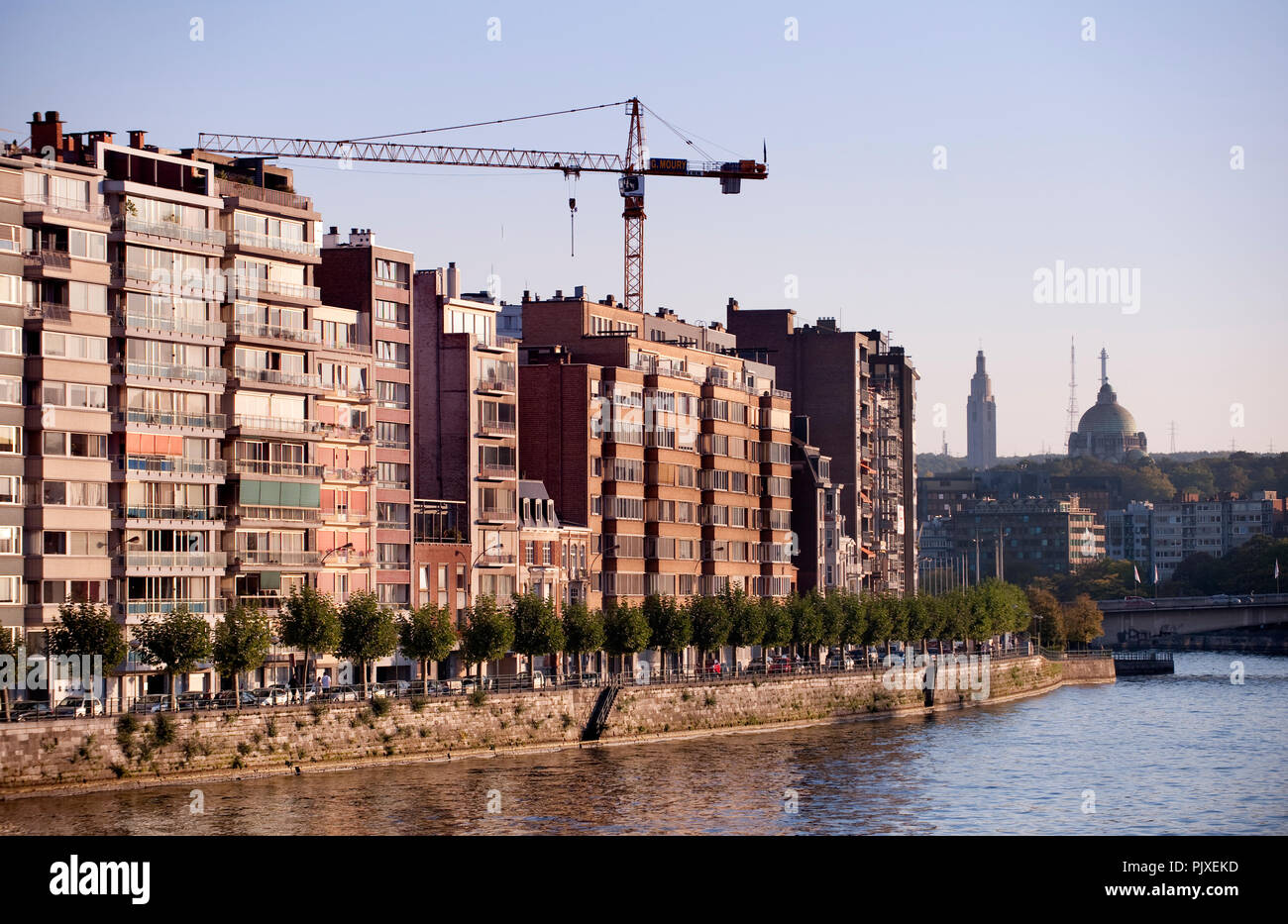 Marcellis hi-res stock photography and images - Alamy