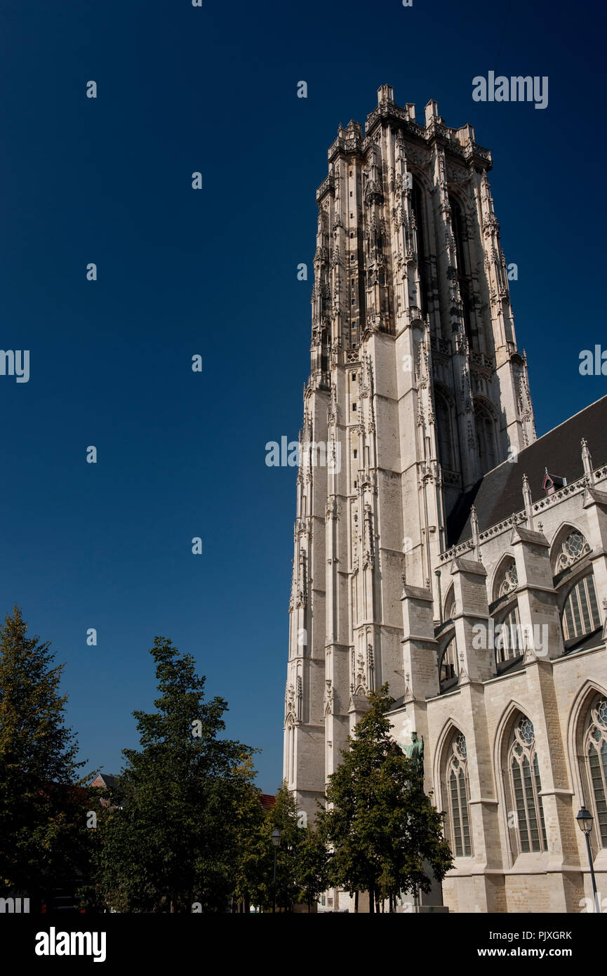 Cathedrale Saint Rombaut De Malines High Resolution Stock Photography ...