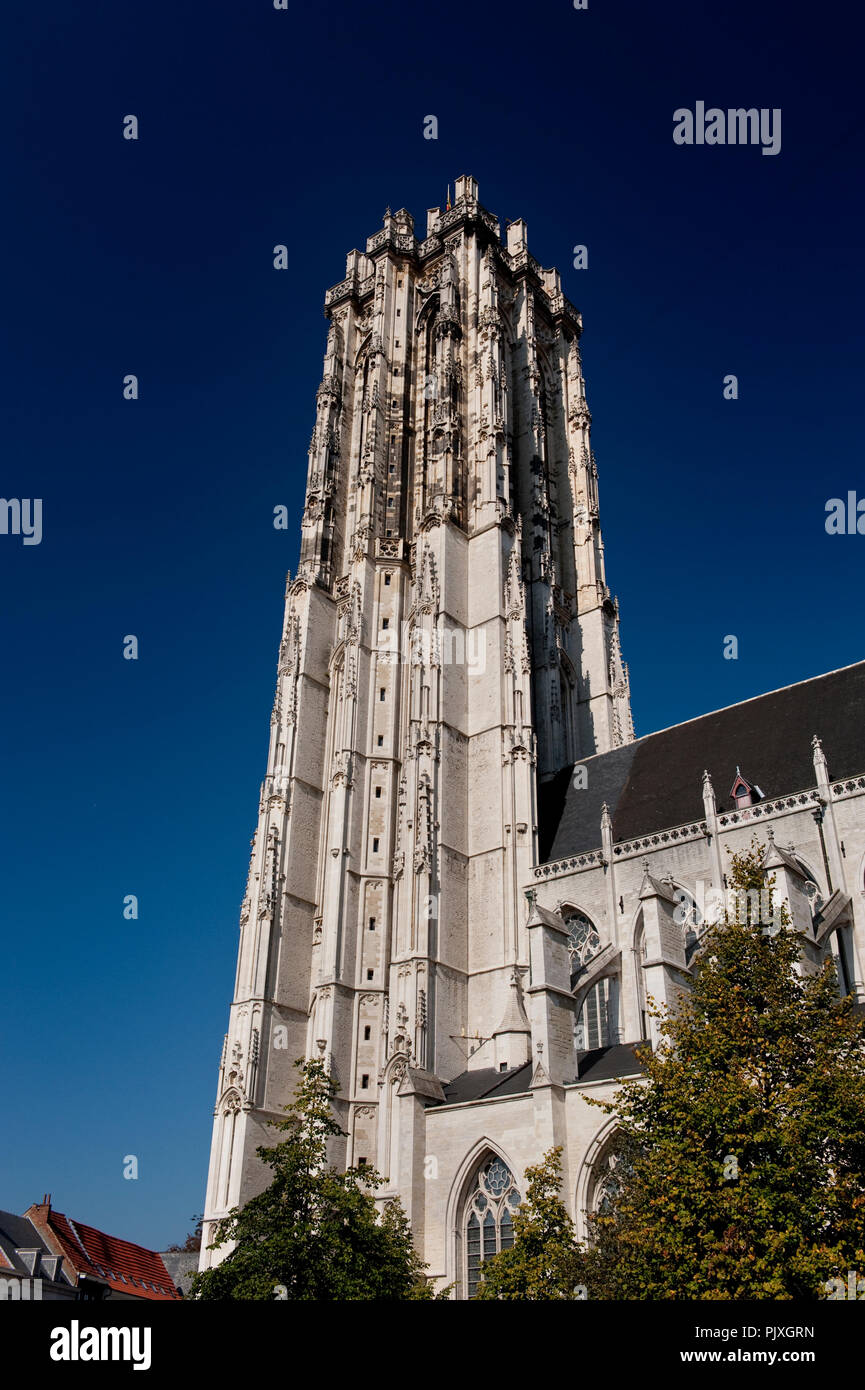 Cathedrale saint rombaut de malines hi-res stock photography and images ...
