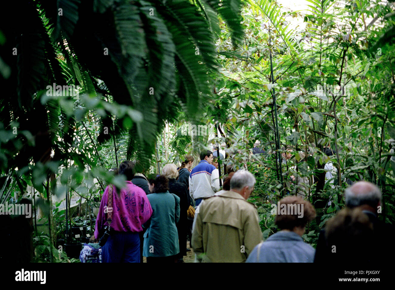 The National Botanic Garden of Belgium in Meise (Belgium, 05/1992 Stock ...