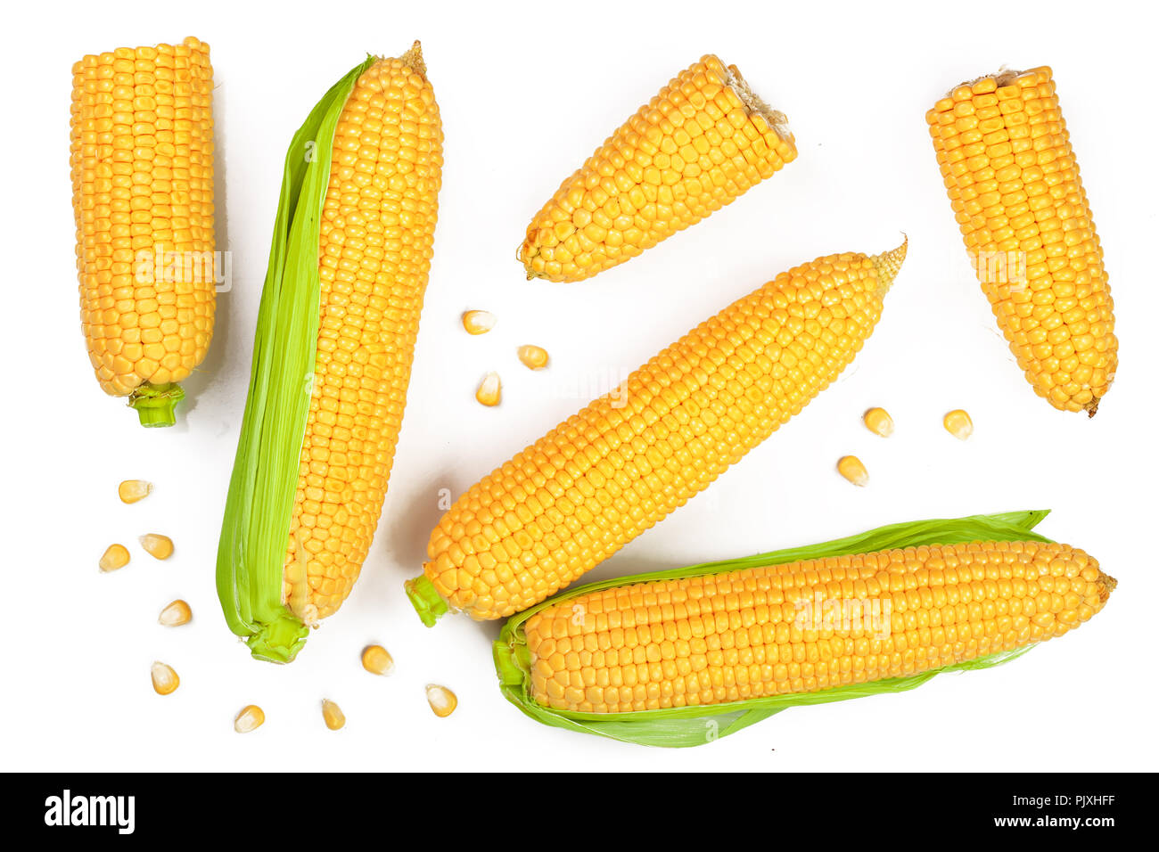 ear of corn isolated on a white background. Top view. Set or collection ...