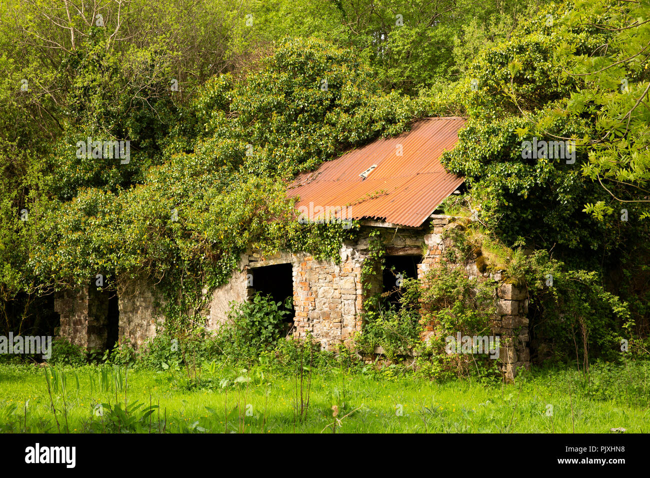 Waterfront ruins hi-res stock photography and images - Alamy